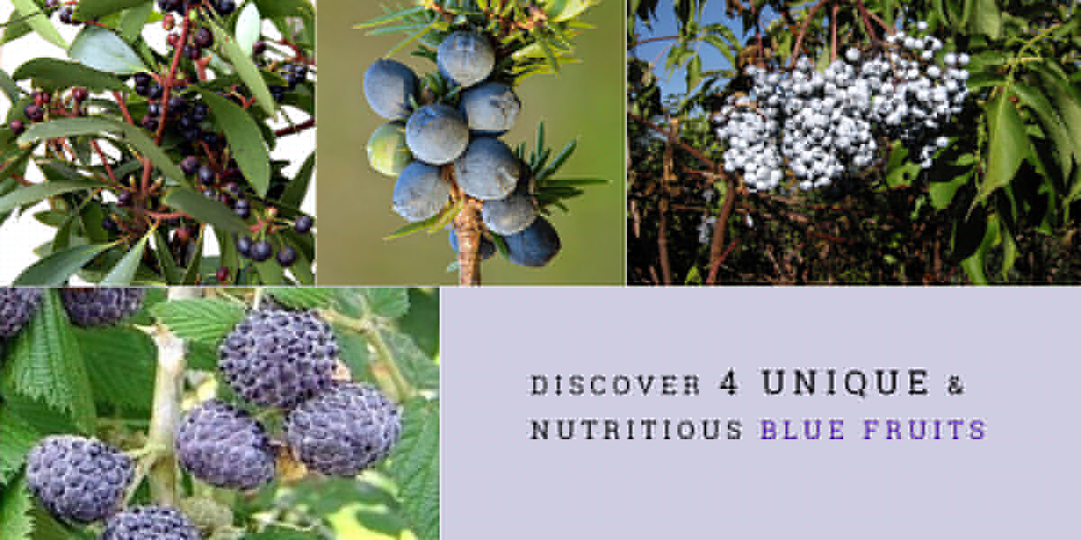 Discover 4 Unique and Nutritious Blue Fruits - Healthy Smart Living